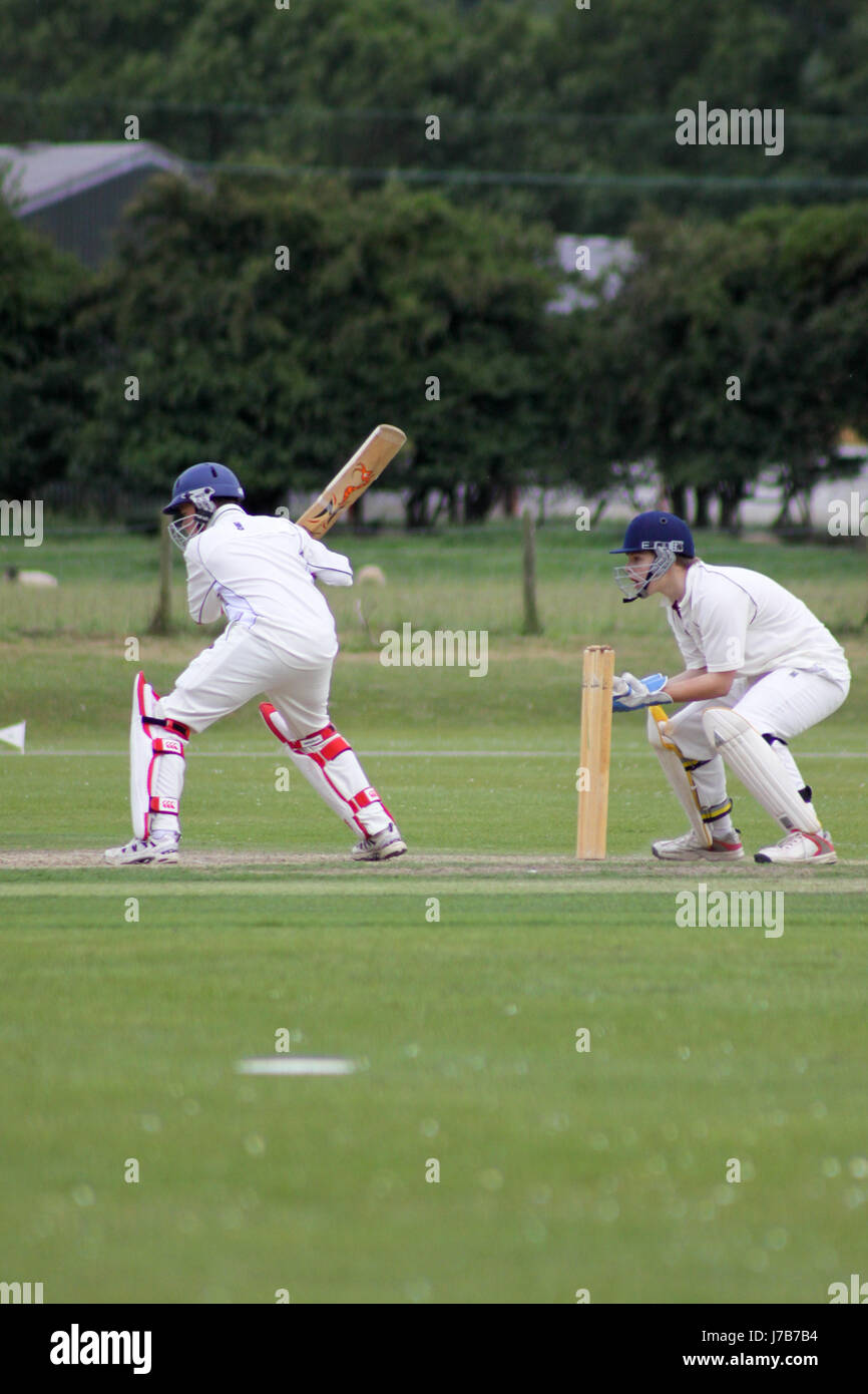 English cricket match Stock Photo - Alamy