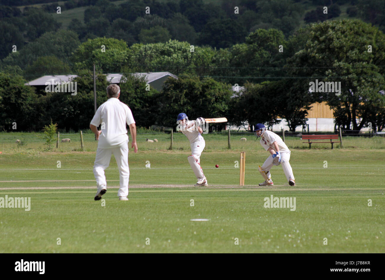 Cricket action uk hi-res stock photography and images - Alamy