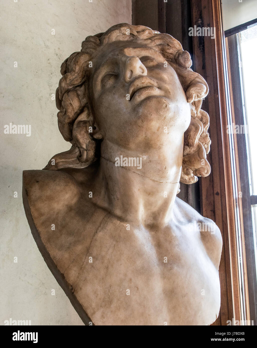 Marble Bust of the Dying Alexander Uffizi Museum Florence Italy Stock ...