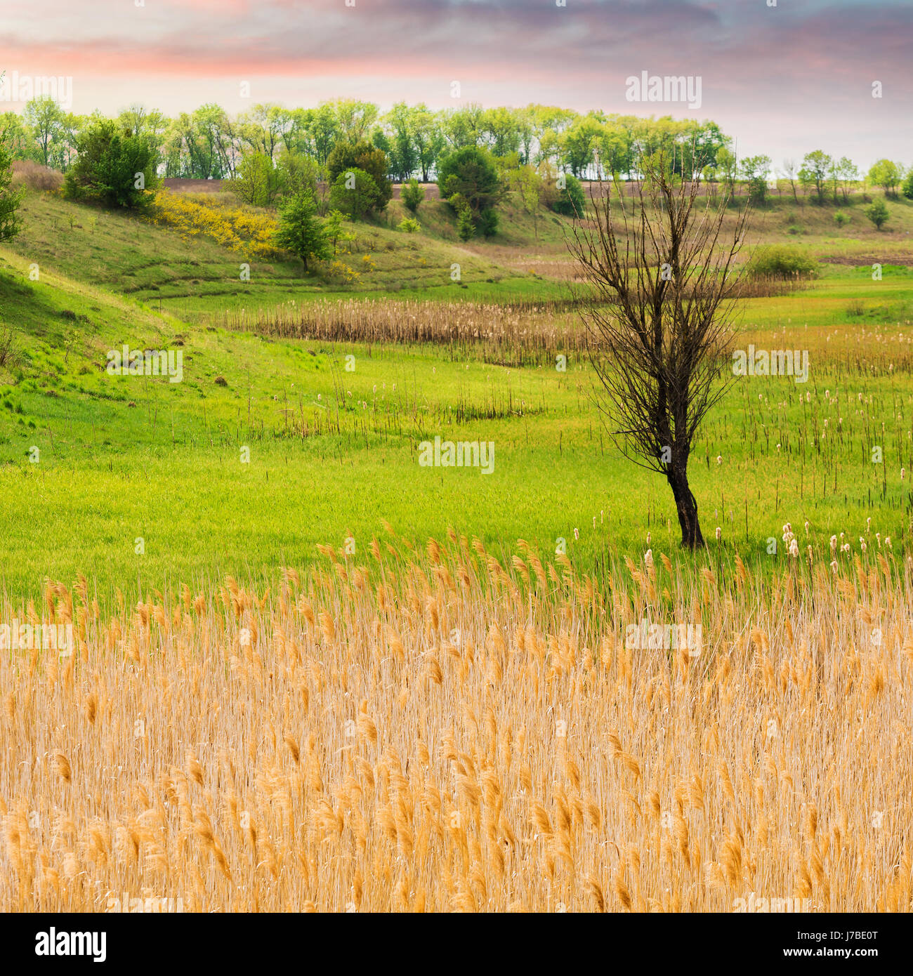 Beautiful ukrainian landscape spring hi-res stock photography and ...