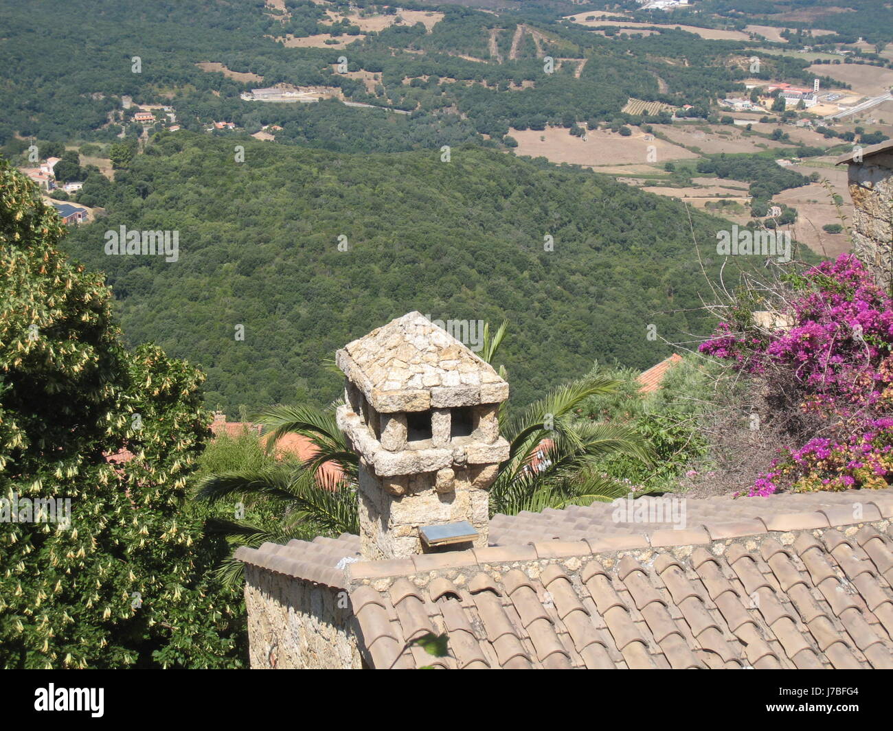tree sight view outlook perspective vista panorama lookout corsica ...