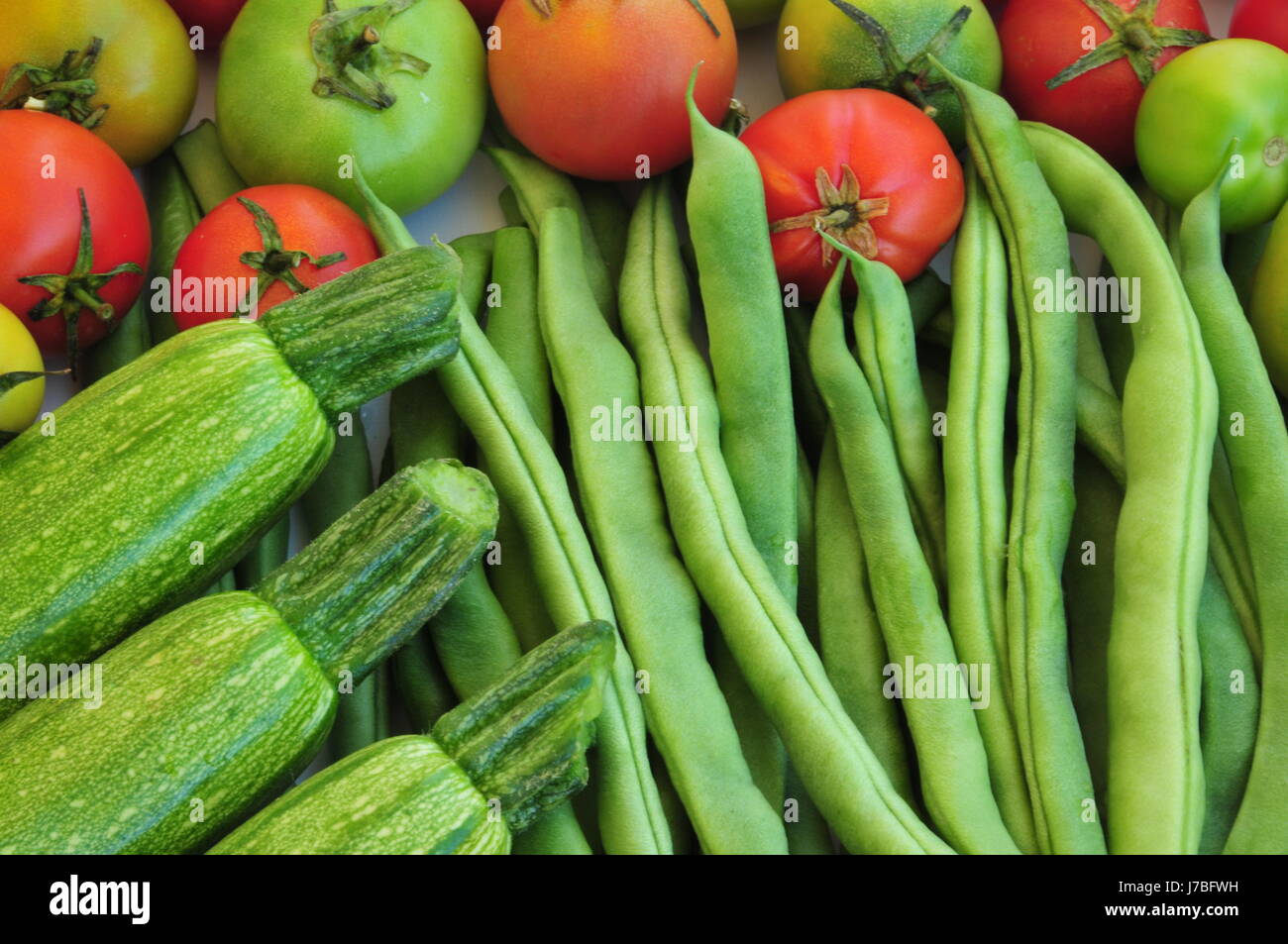 colour agriculture farming vegetable color organic backdrop background ...