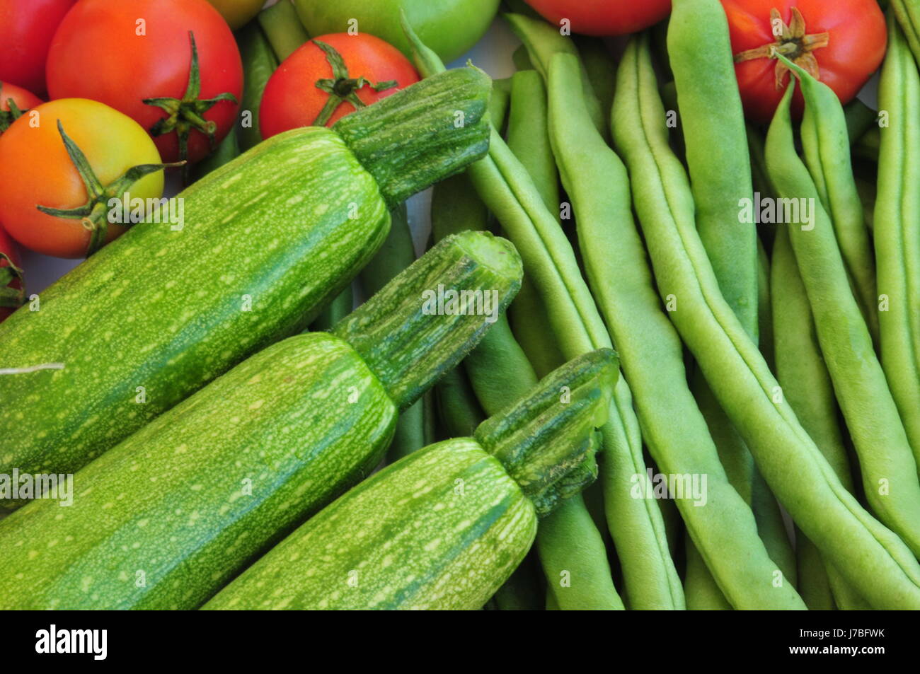 colour agriculture farming vegetable color organic backdrop background ...