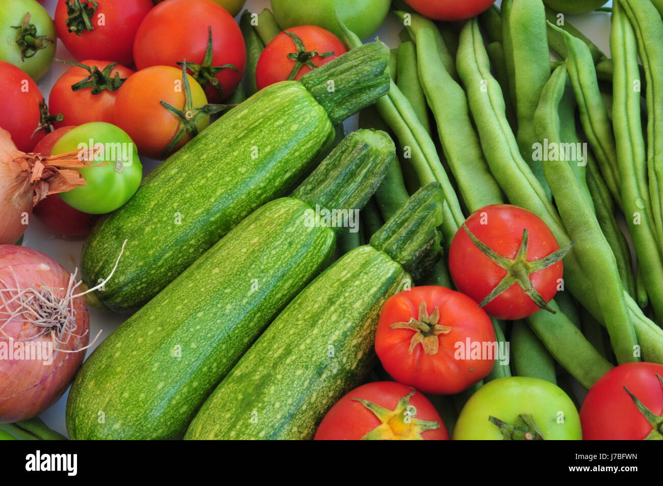 green agriculture farming vegetable tomatoes tomatos organic bean ...