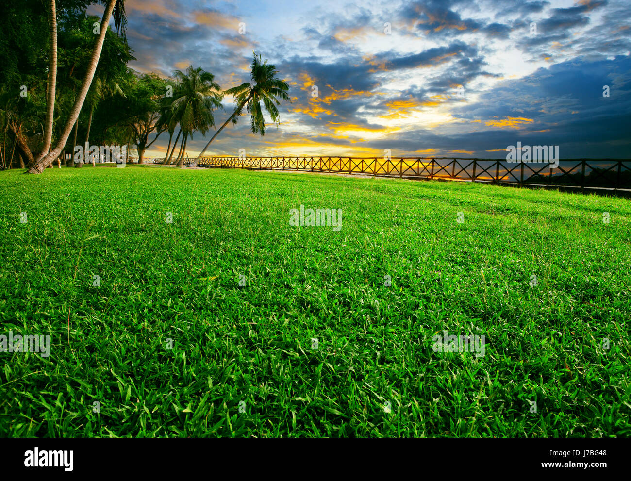 beautiful landscape of green grass field park against dusky sky on ...