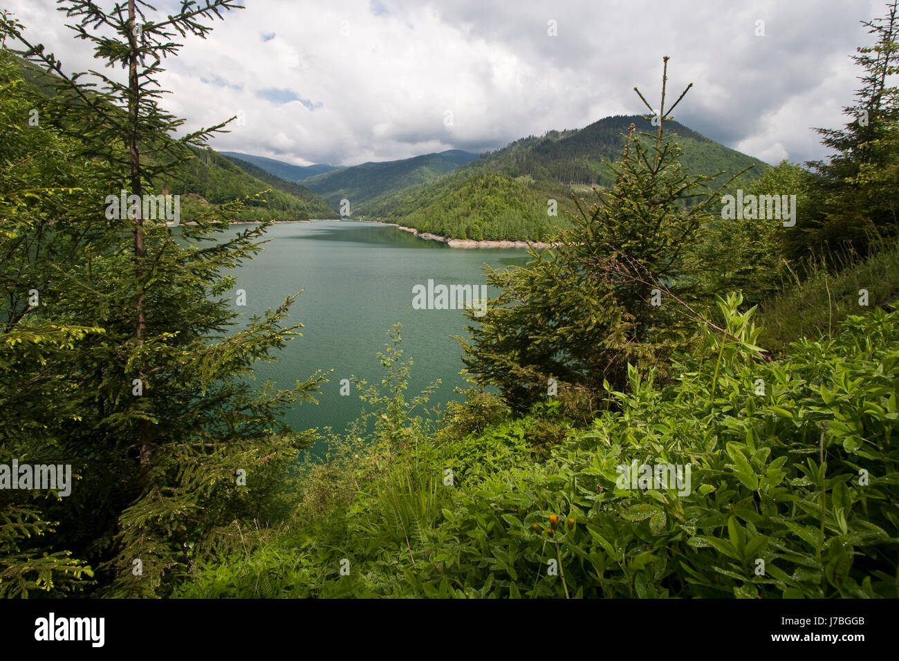 fresh water lake inland water water landscape scenery countryside ...