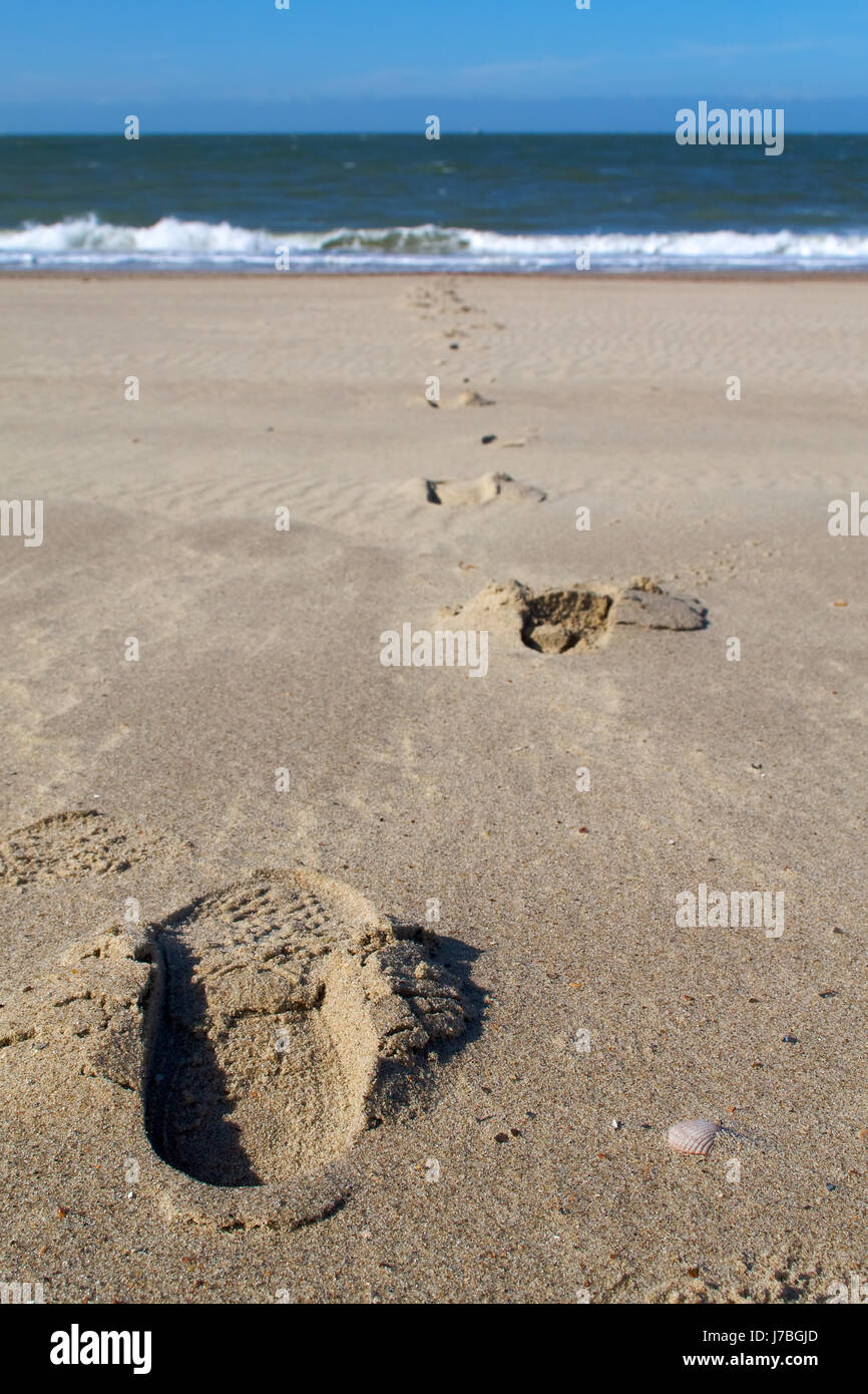 beach seaside the beach seashore steps step salt water sea ocean water ...