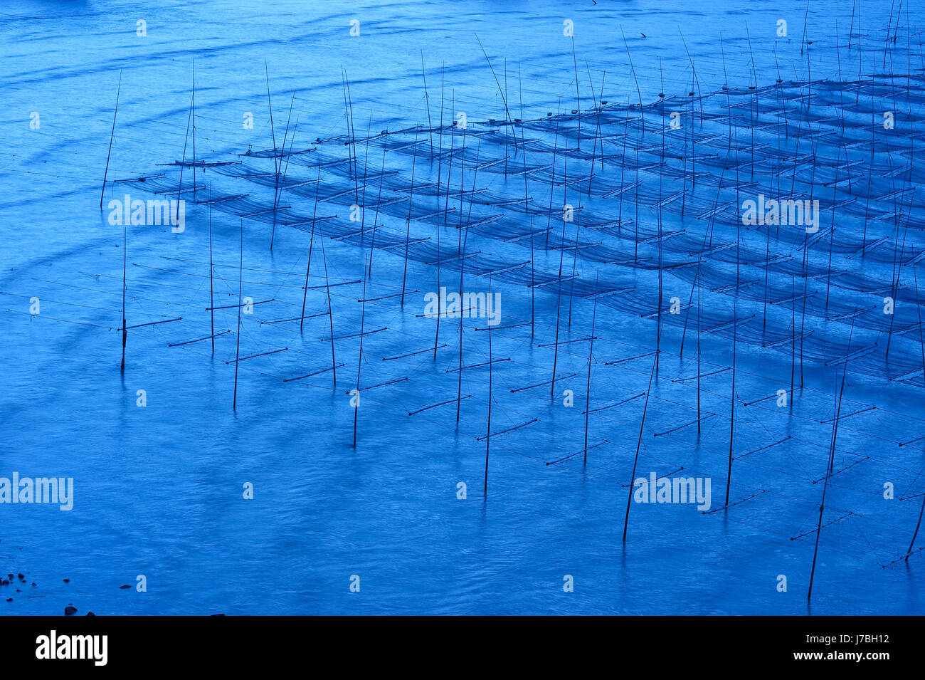 asia agriculture farming china farm seaweed salt water sea ocean water ...