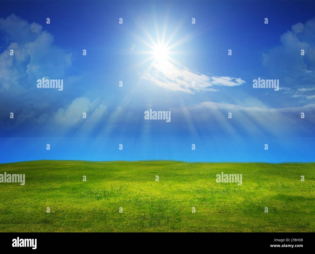 beautiful green grass field with sun shine on clear blue sky Stock ...