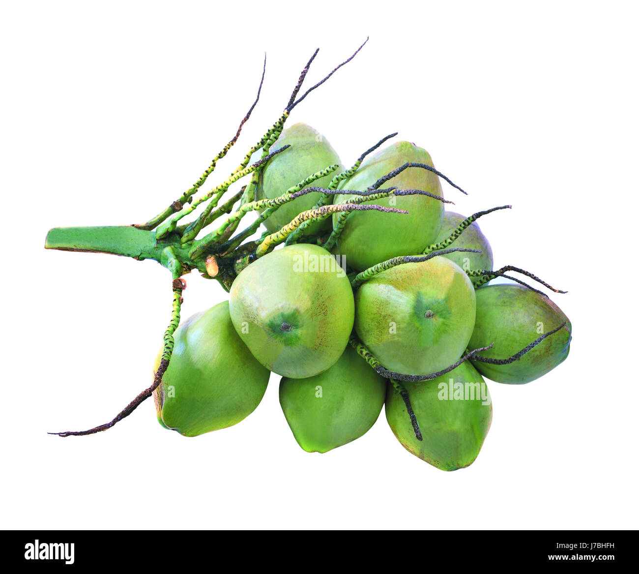 Bunch of green coconut group isolated white background Stock Photo - Alamy