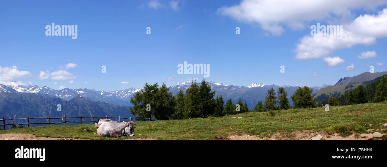 sight view outlook perspective vista panorama lookout cows mountain ...