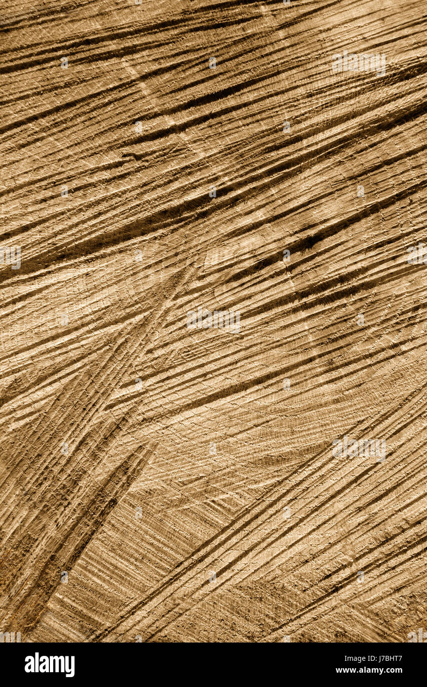 detail wood saw cut wooden cuts backdrop background texture ring macro ...