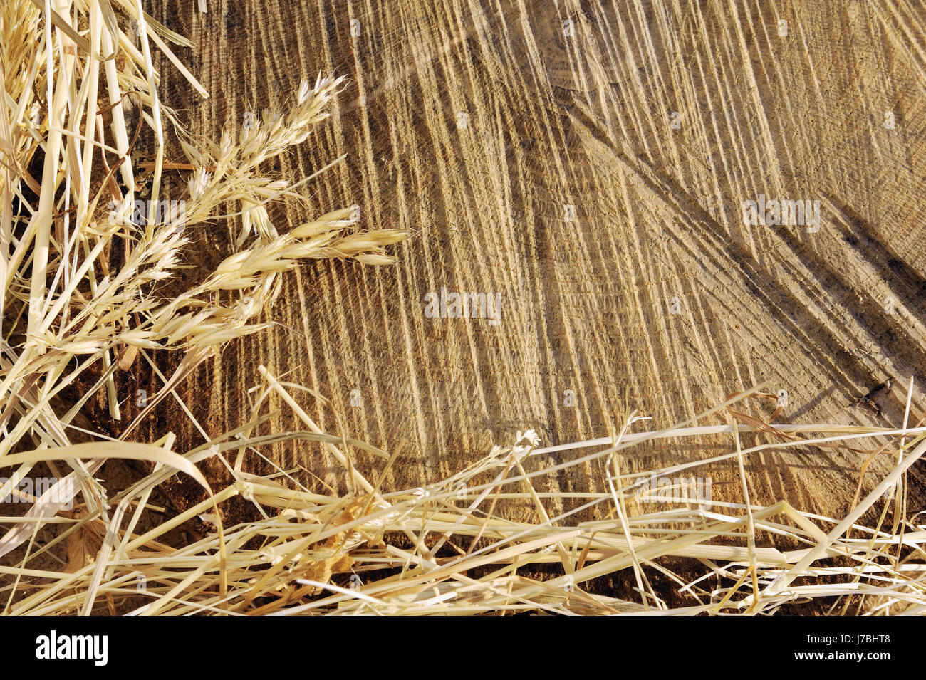 detail wood hay wooden frame meadow grass lawn green backdrop ...