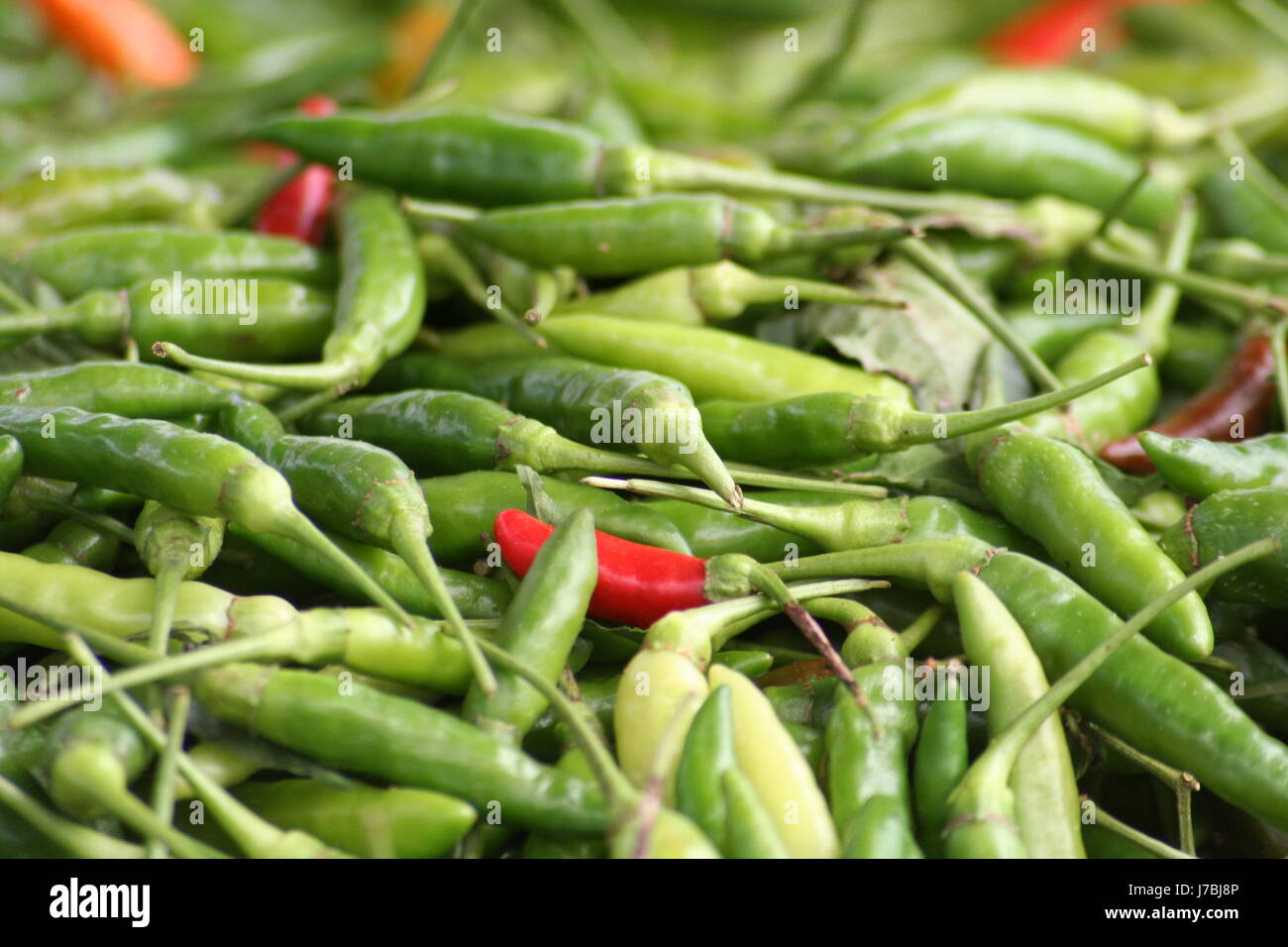 green kitchen cuisine boil cooks boiling cooking red peppers spices ...
