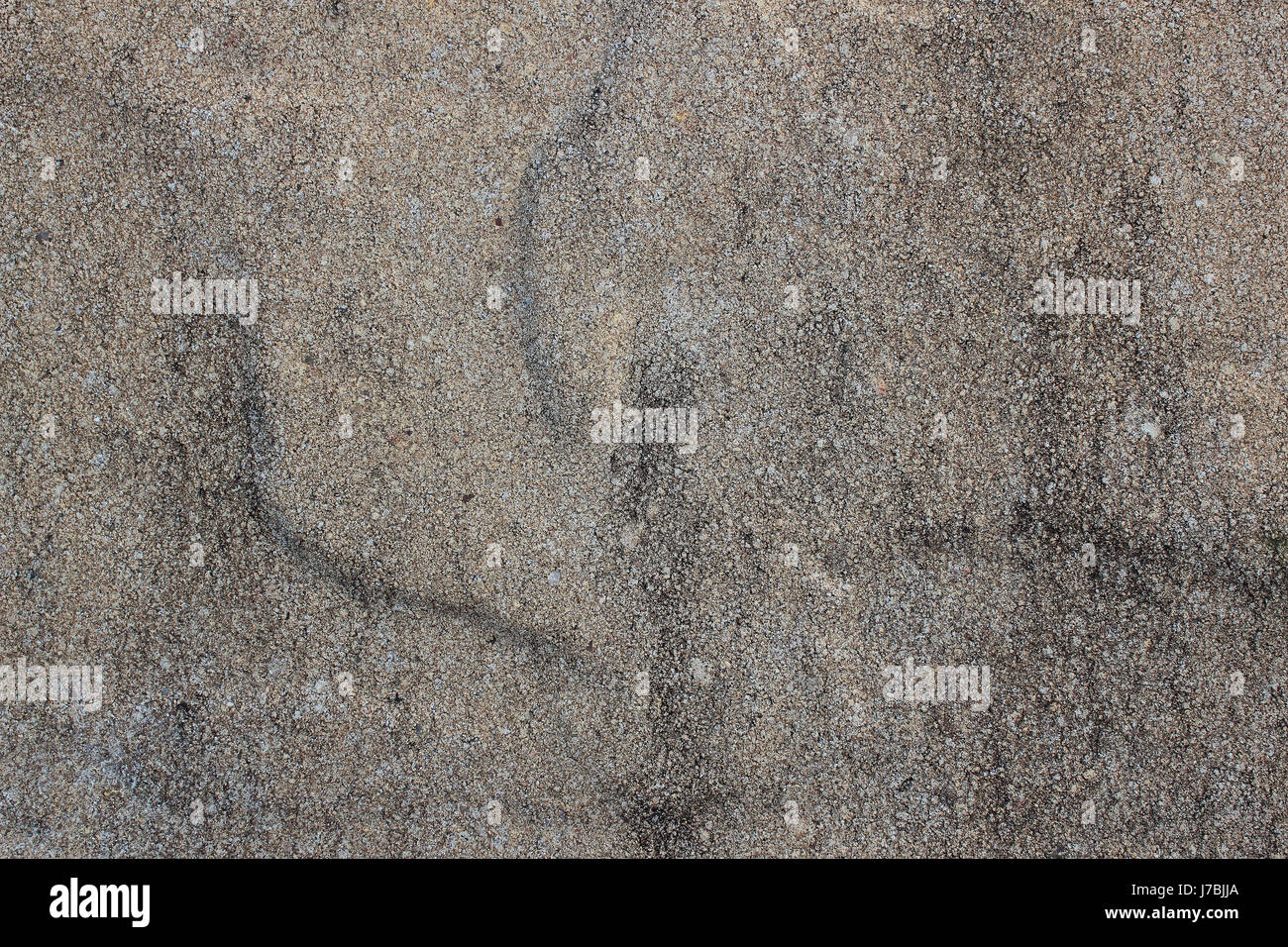 wall sandstone structure backdrop background texture garden stone ...