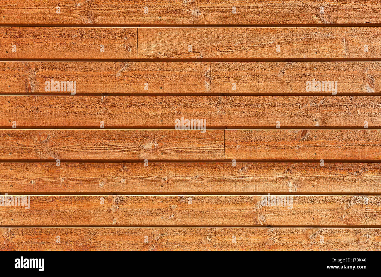 tree wood lines wall plank wooden backdrop background texture tree wood ...