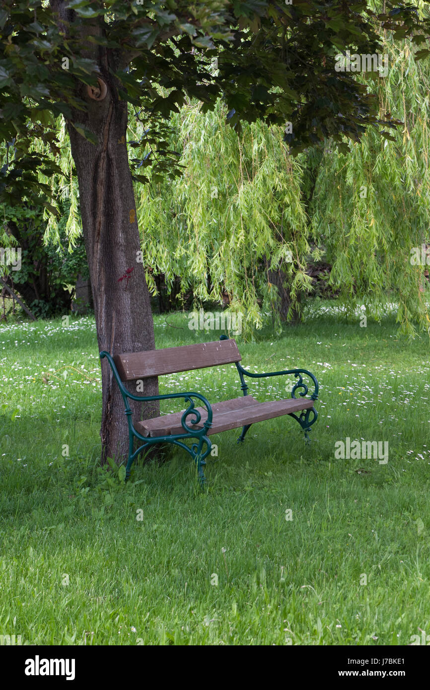 old park bench in the garden Stock Photo - Alamy