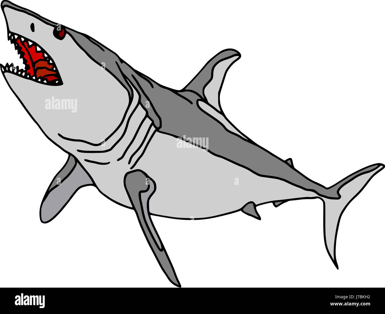 Cartoon Sharks To Draw