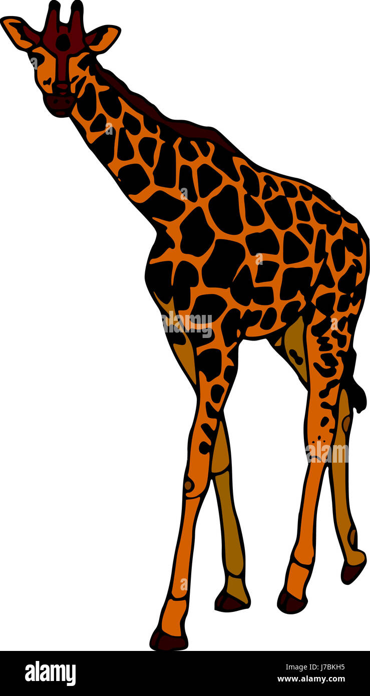 isolated illustration cartoon draw profile legs big large enormous ...