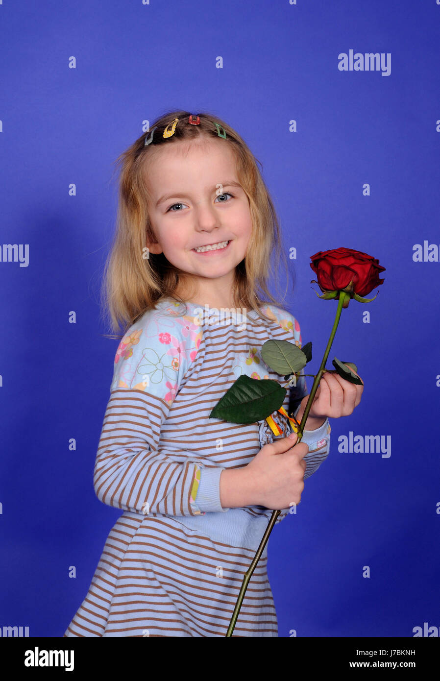 little girl with red rose Stock Photo - Alamy