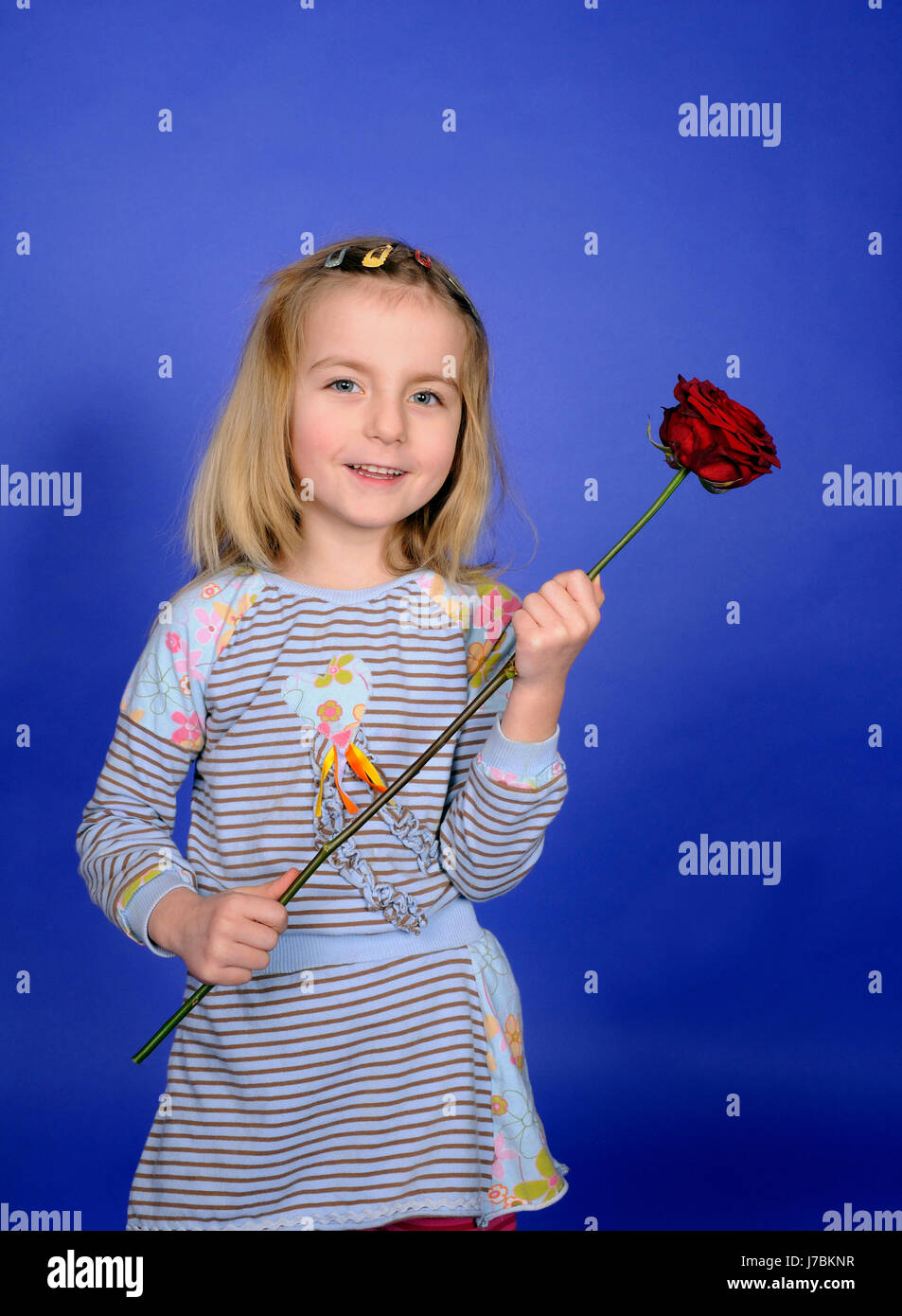 little girl with red rose Stock Photo - Alamy
