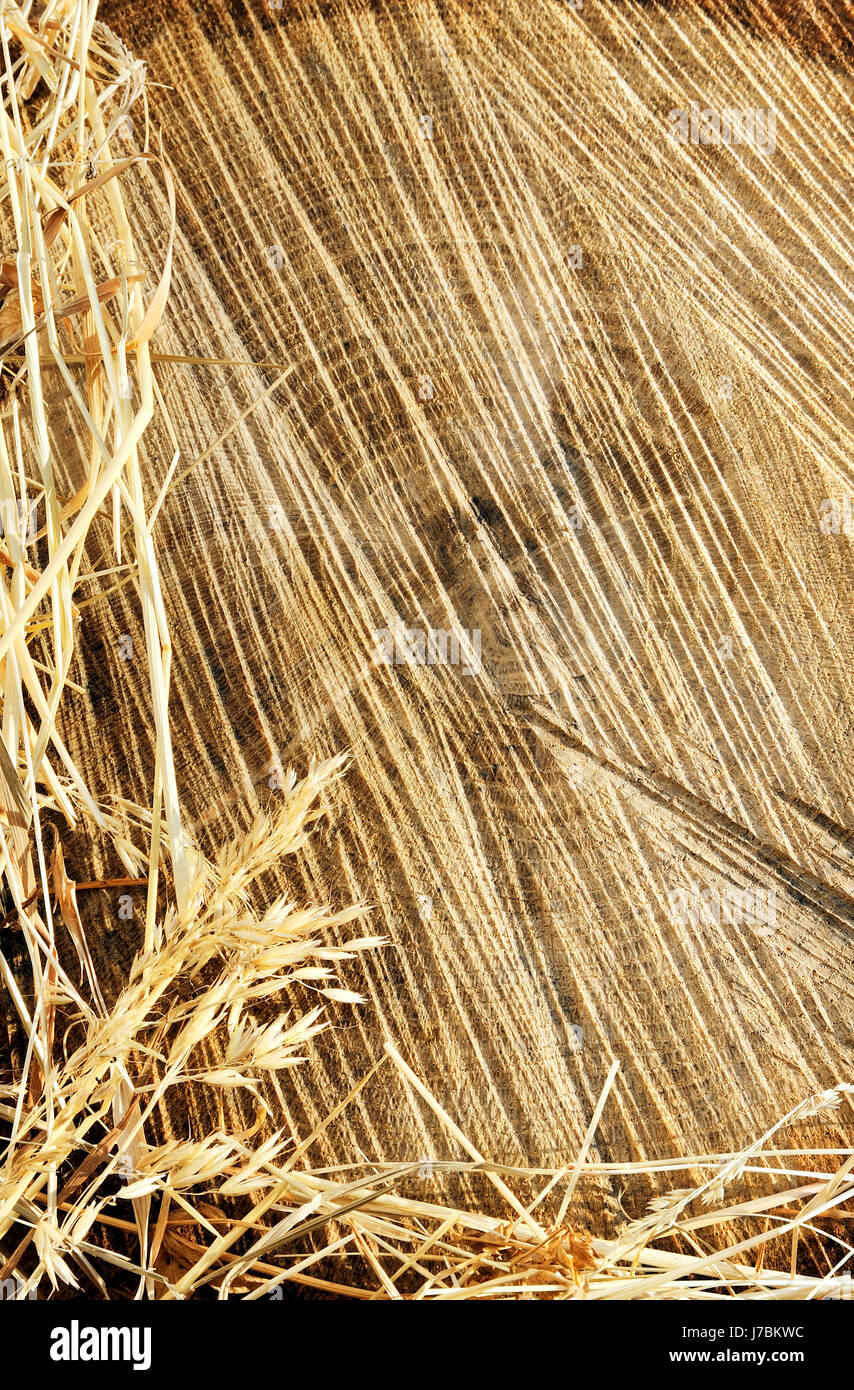 detail wood hay wooden frame meadow grass lawn green backdrop ...