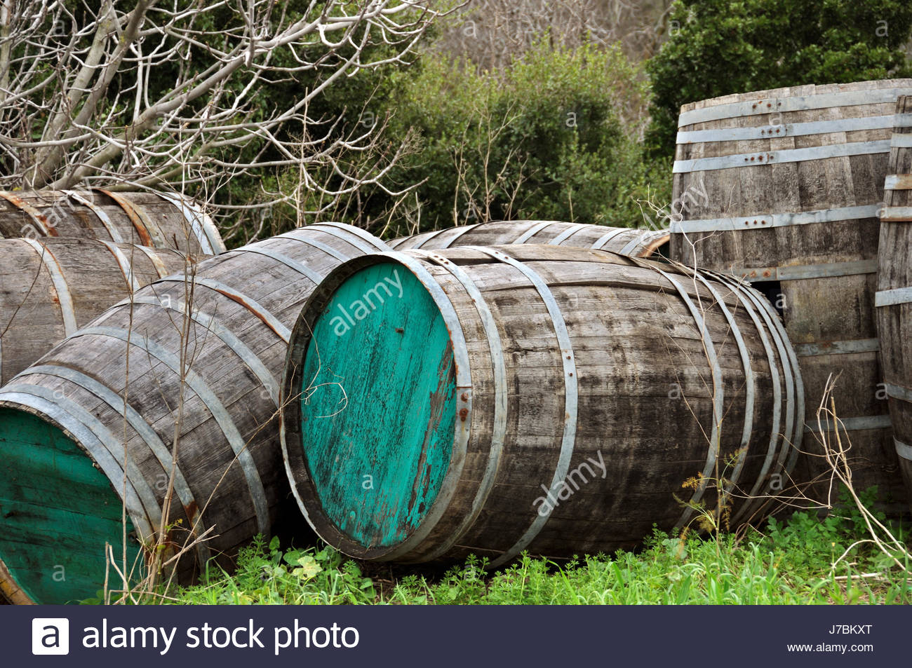 Broken Barrel Stock Photos & Broken Barrel Stock Images - Alamy