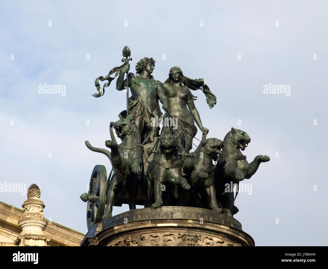 germany german federal republic Dresden cat big cat feline predator ...