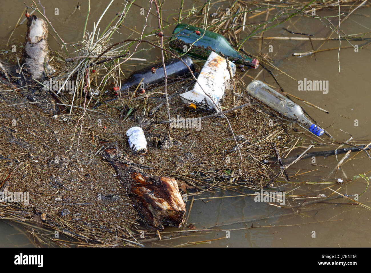 garbage in the water Stock Photo - Alamy