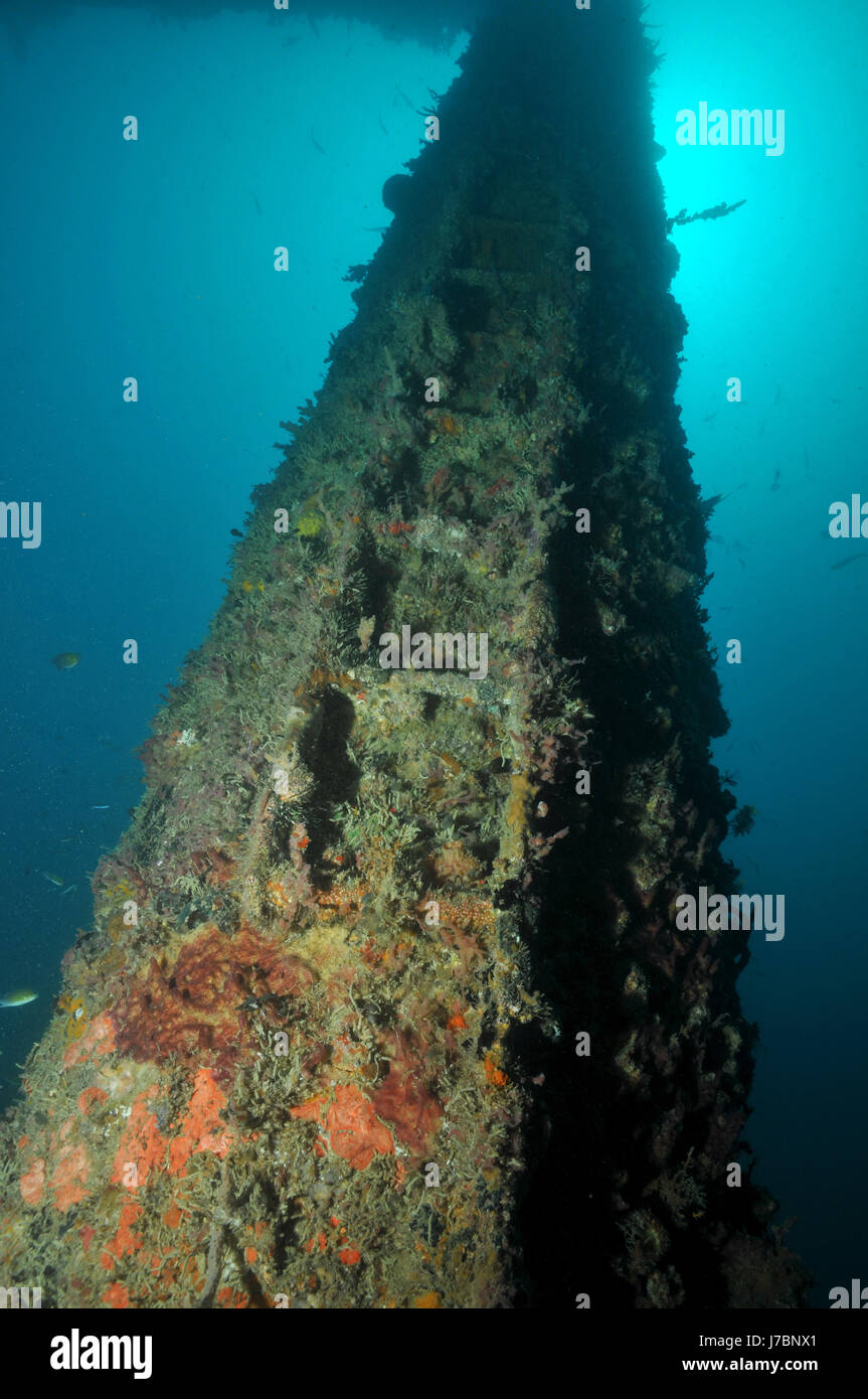 wreck shipwreck ladder corals sailing boat sailboat rowing boat boat ...