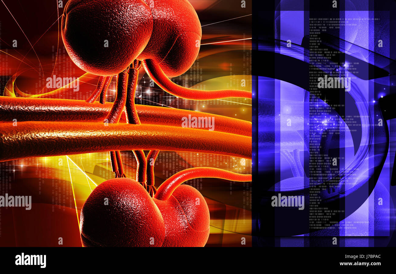 object education medicinally medical graphics colour science three ...