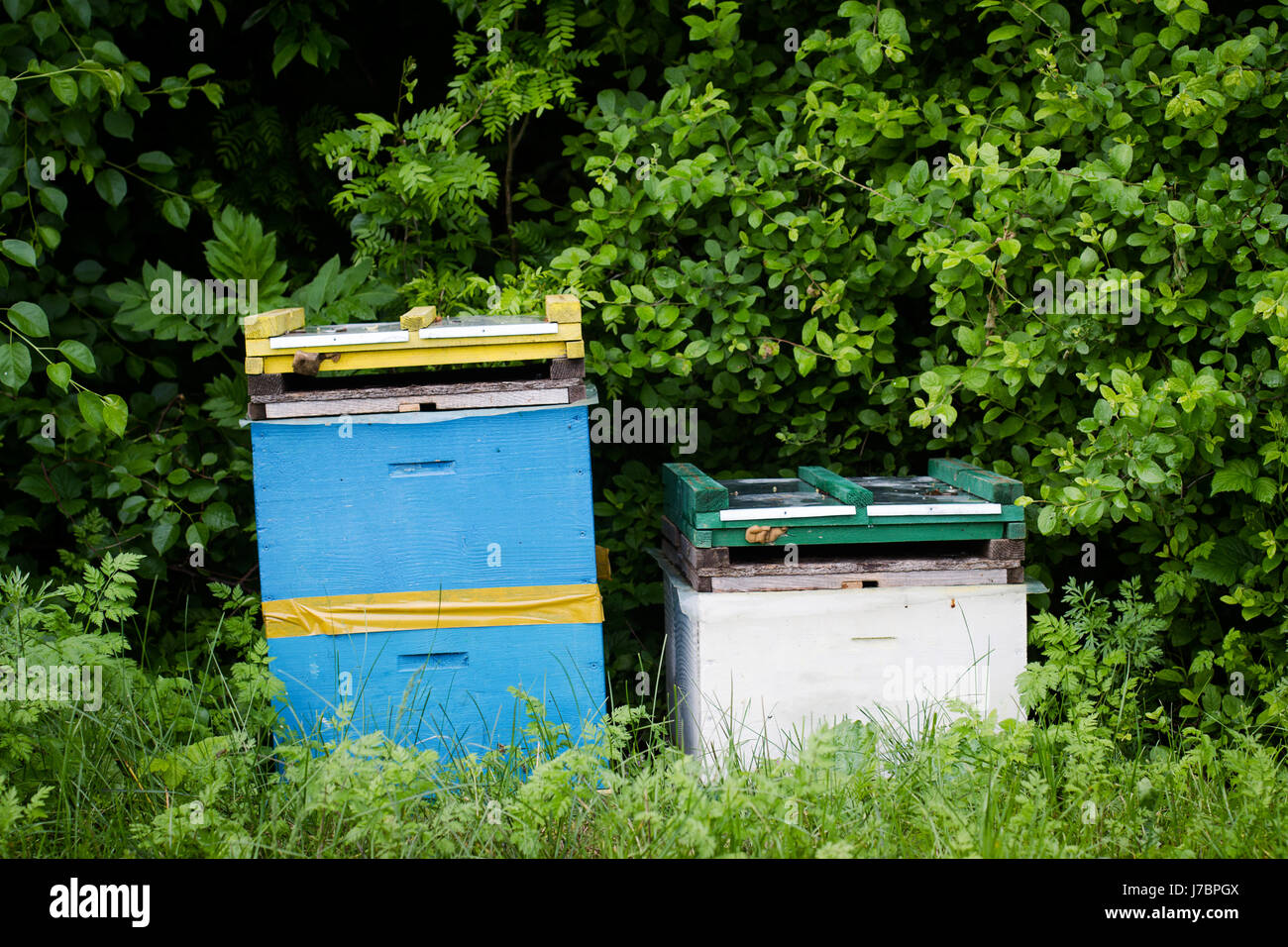 Two White Beehives High Resolution Stock Photography and Images - Alamy