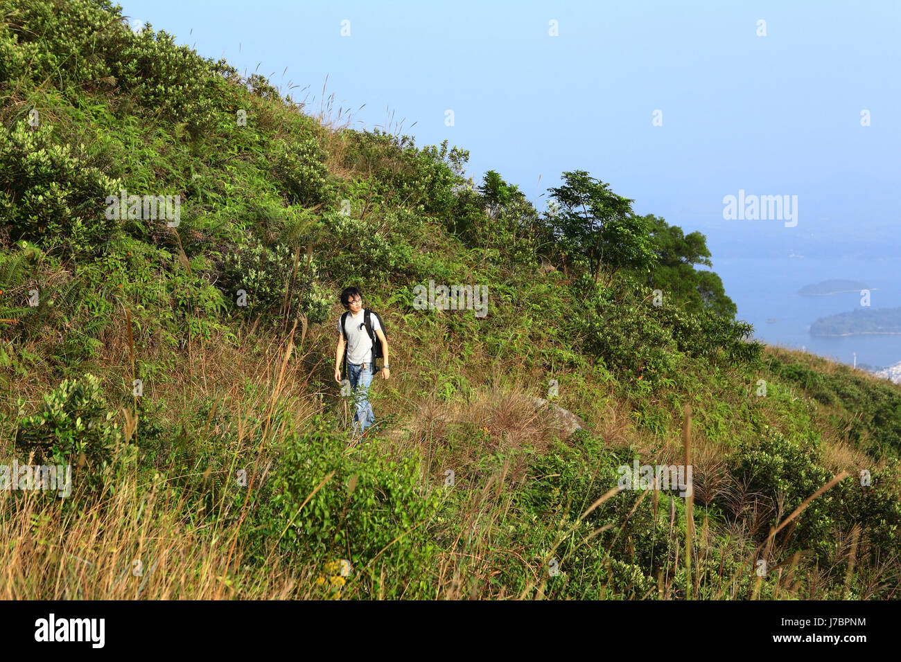 blue humans human beings people folk persons human human being walk go ...