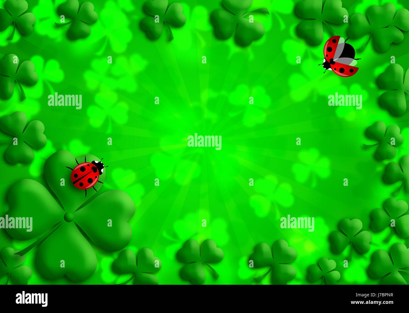 Ladybug border hi-res stock photography and images - Alamy