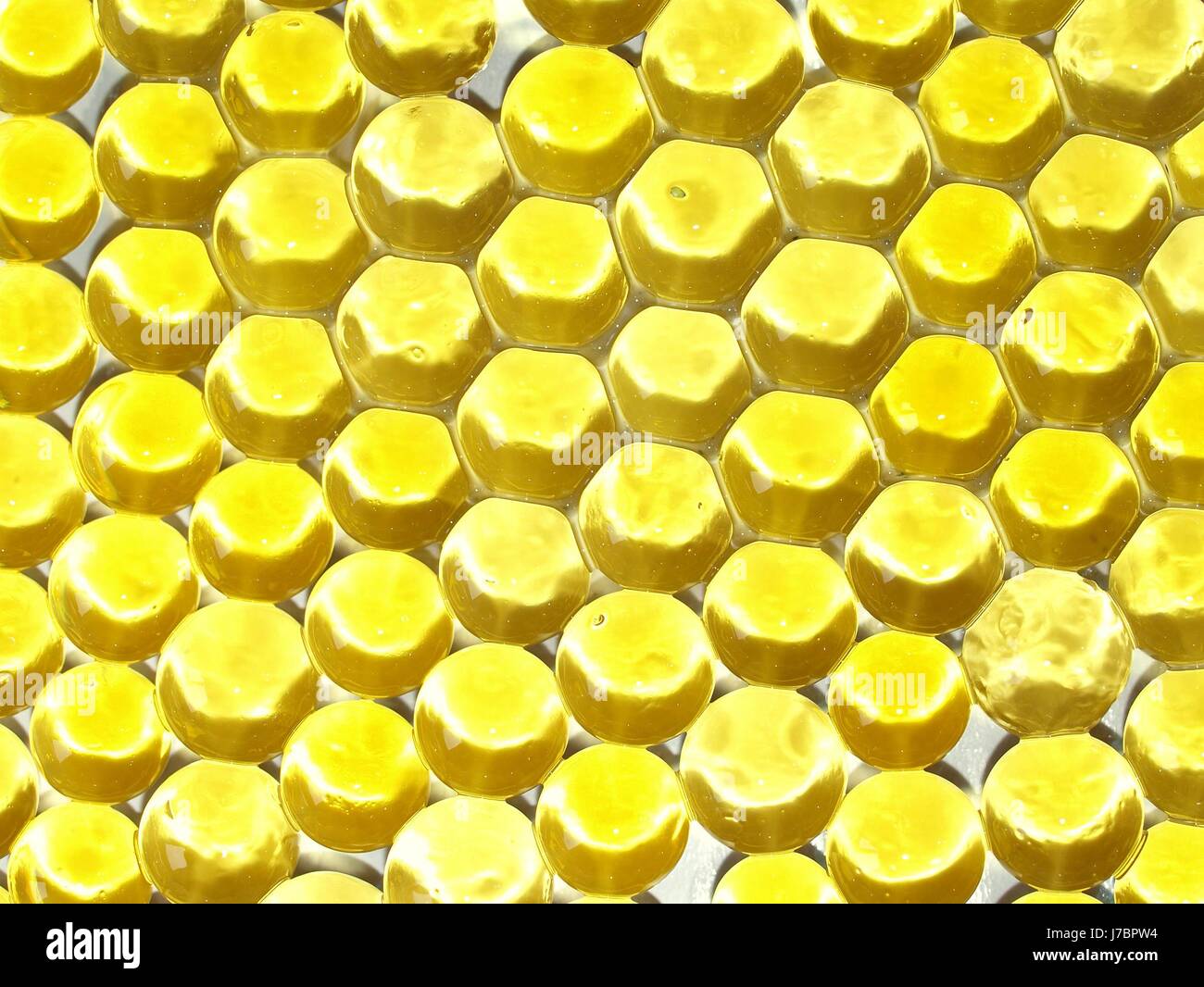 objects colour flower plant floral water blue tool object objects ...