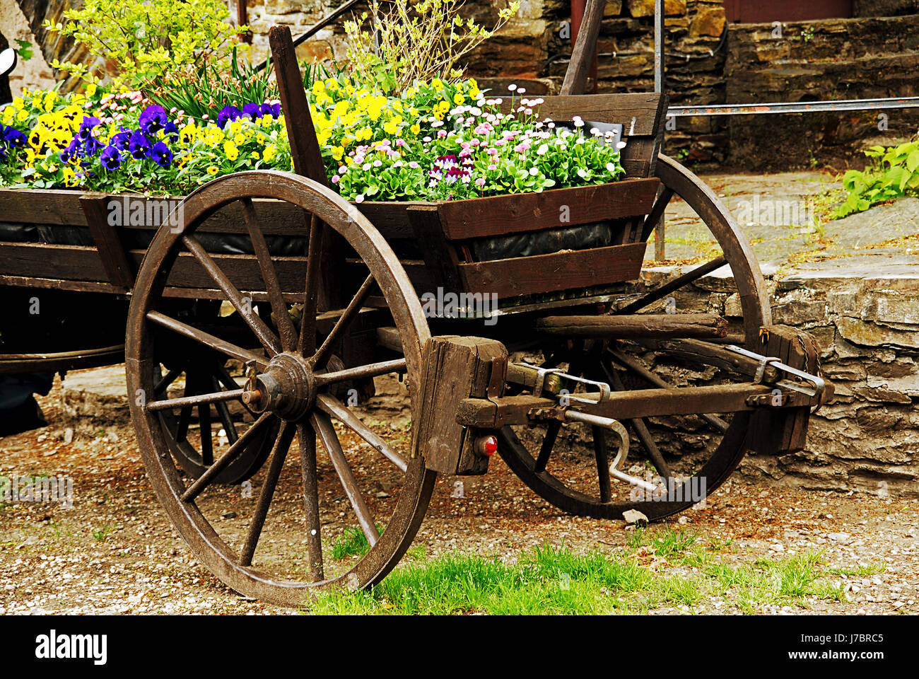 flower flowers plant yard country wooden cart courtyard flower bed ...