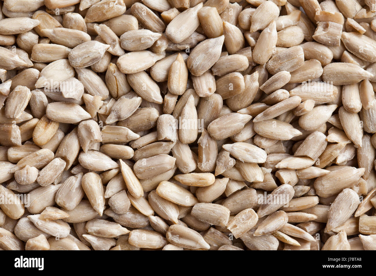 food aliment flower sunflower plant raw seed eating eat eats snack ...