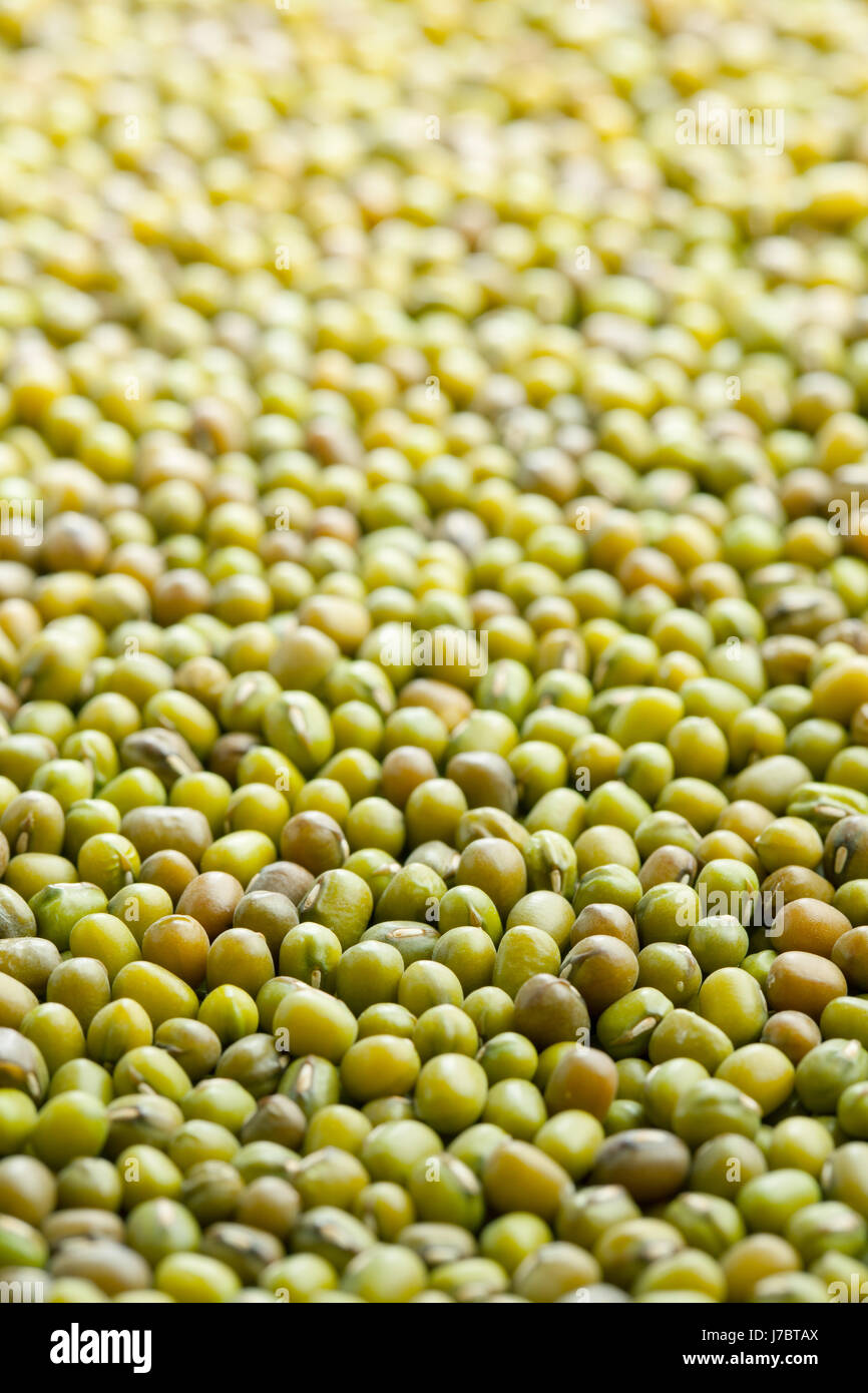 food aliment green small tiny little short vegetable diet seed bean ...