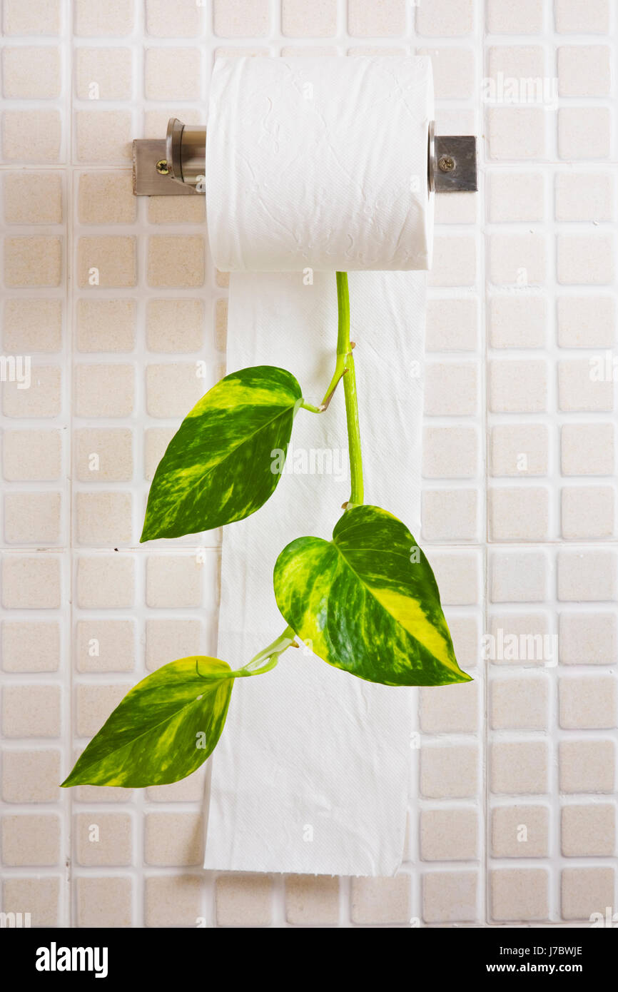 environment enviroment renewable sheet of paper paper lawn green house ...