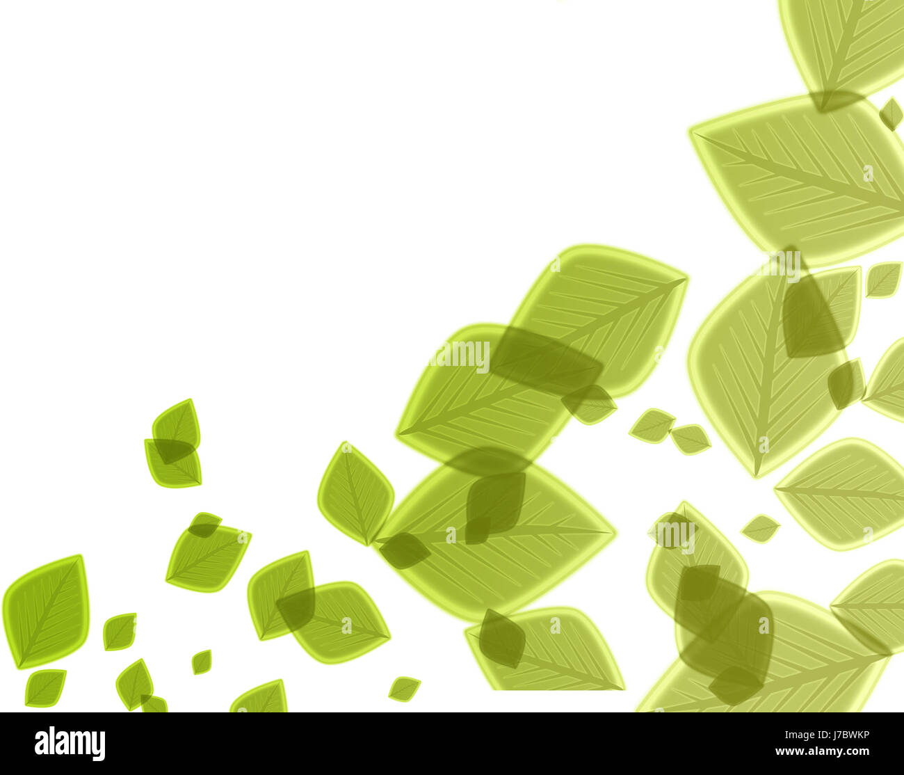 leaf illustration abstract frame lawn green backdrop background ...