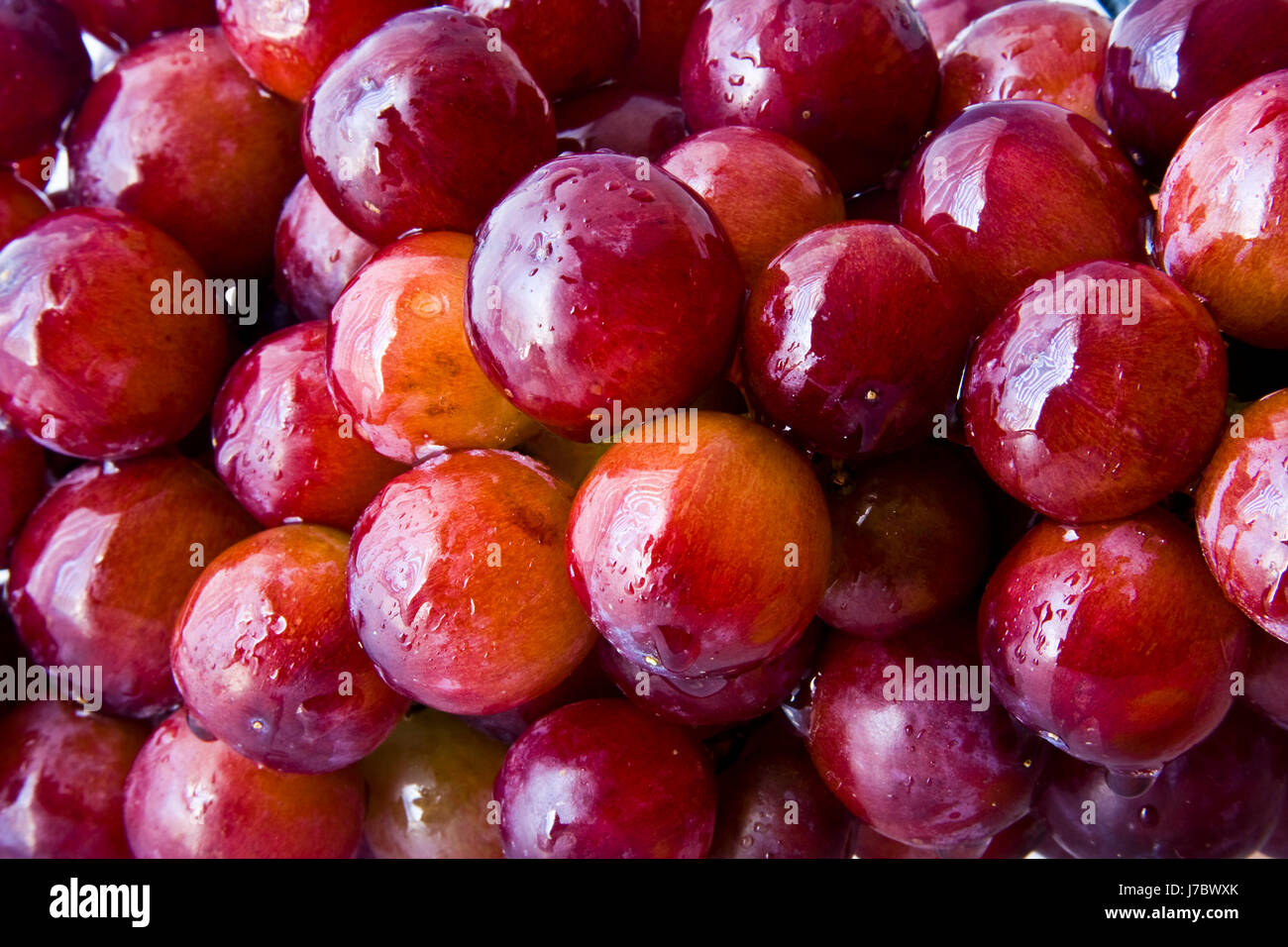 grapes fruit backdrop background bunches of grapes vine grape vine ...