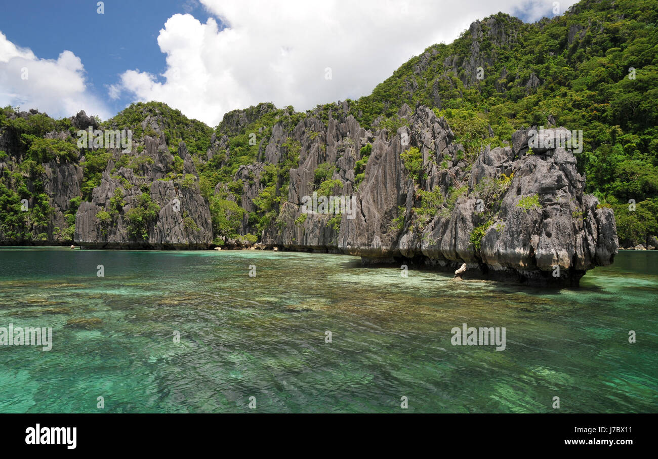 rock limestone philippines salt water sea ocean water corals travel far ...