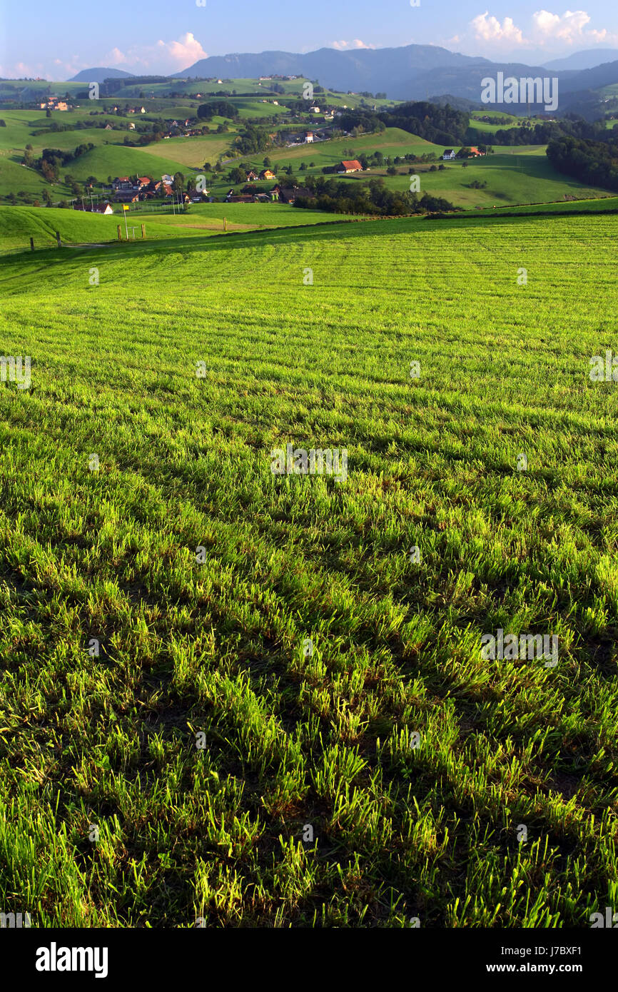 summer summerly switzerland farm country swiss farmland landscape ...