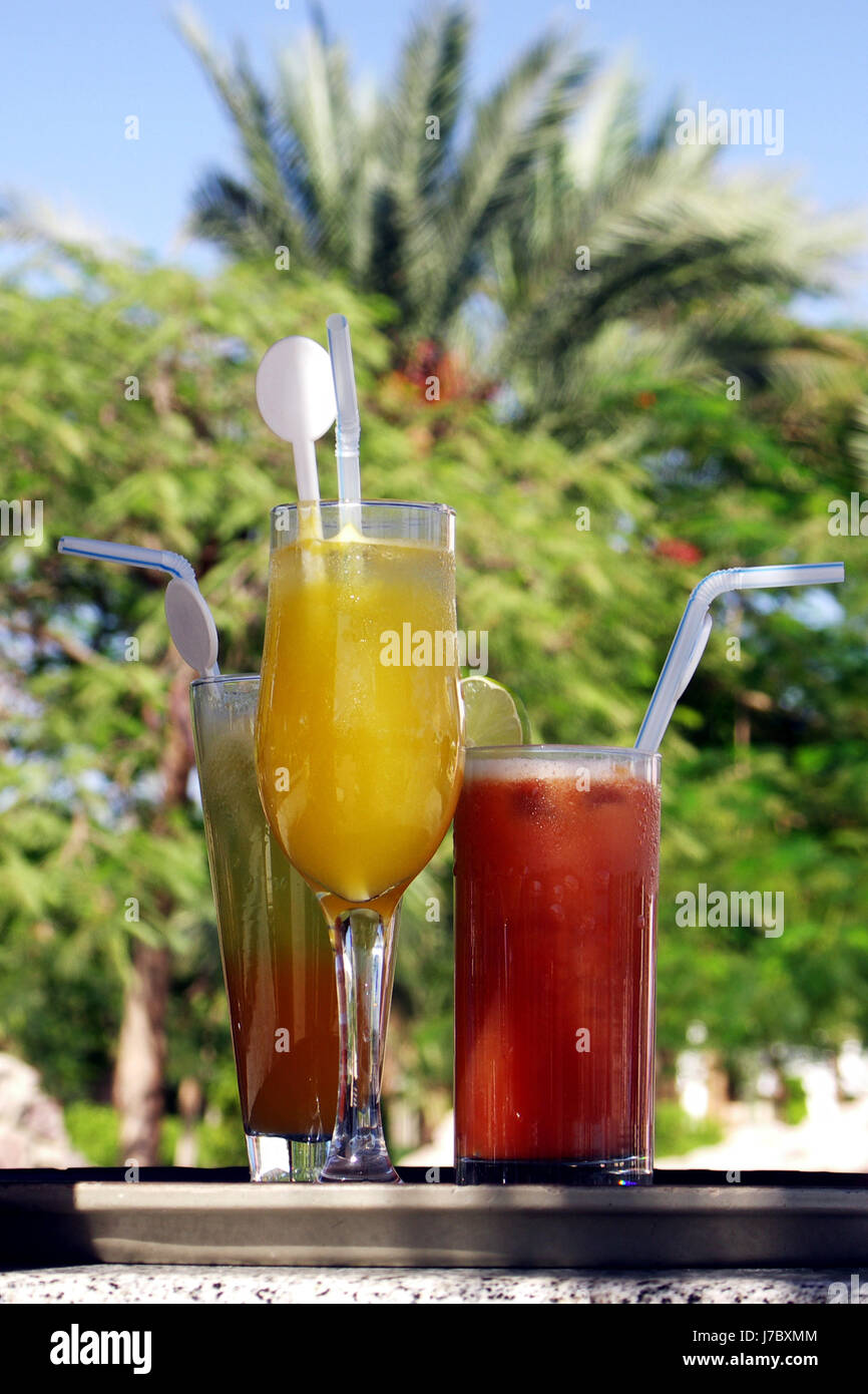 bar tavern drinks drink drinking bibs heaven paradise alcohol exotic ...