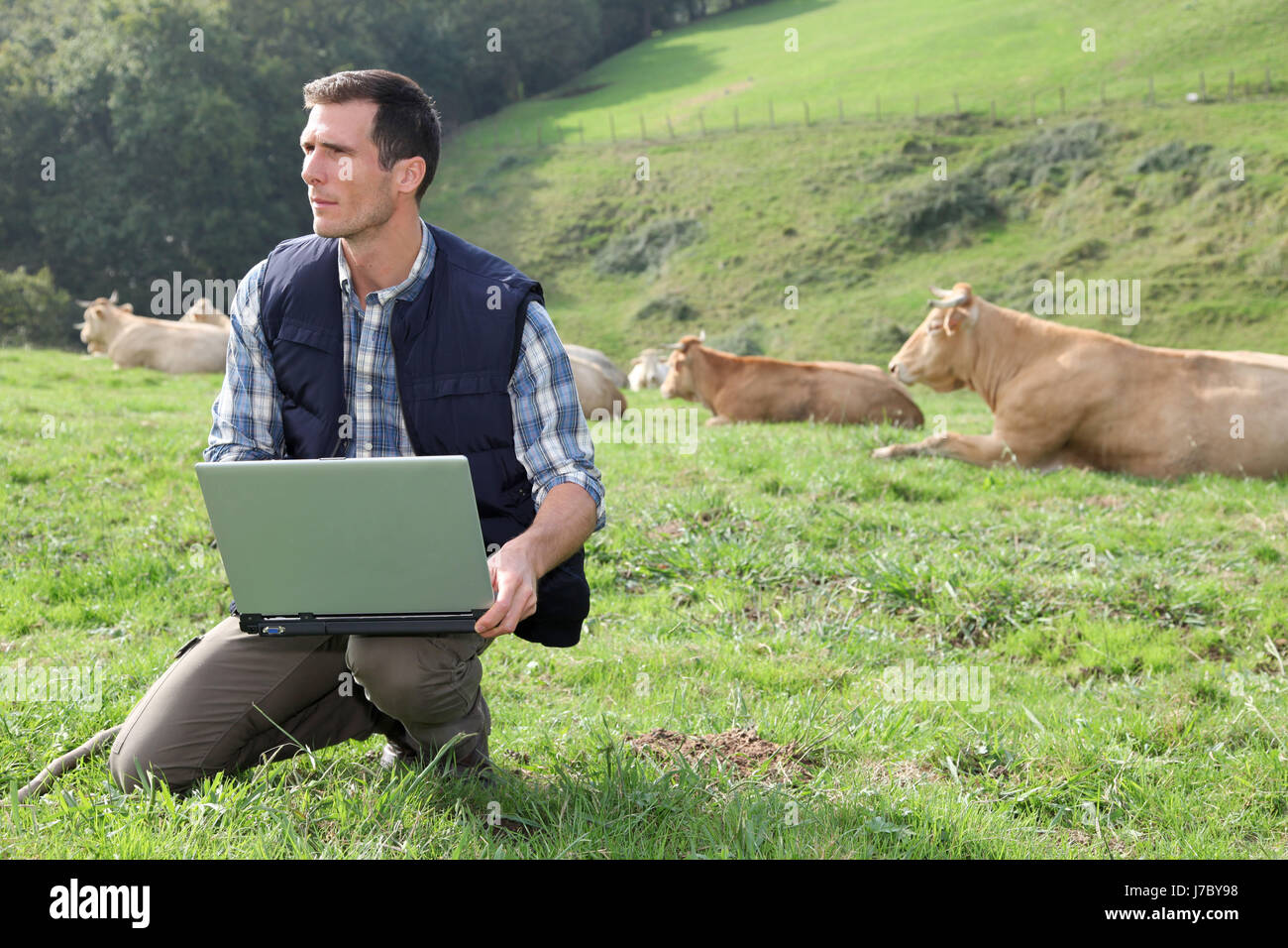 laptop notebook computers computer animals agriculture farming field ...