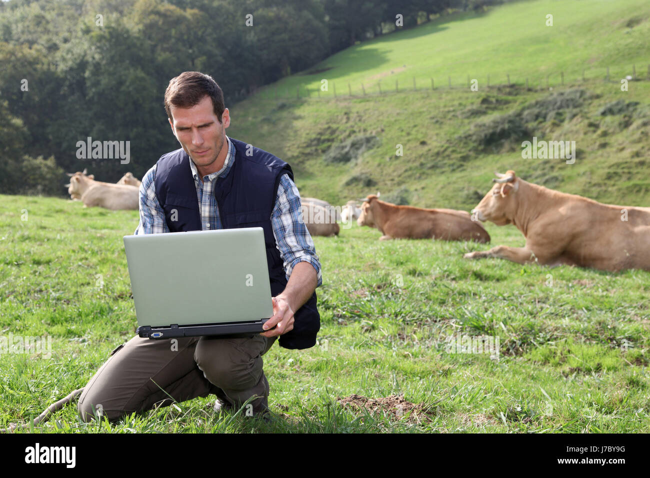 Agriculture pastorale hi-res stock photography and images - Alamy