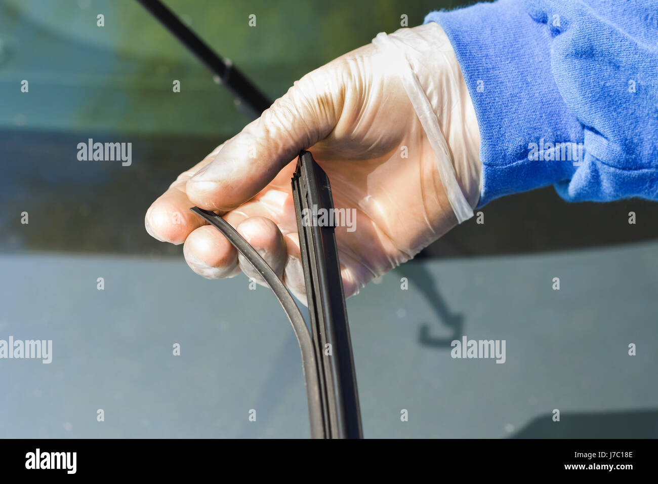 The mechanic in disposable gloves holds the damaged wiper blade Stock ...