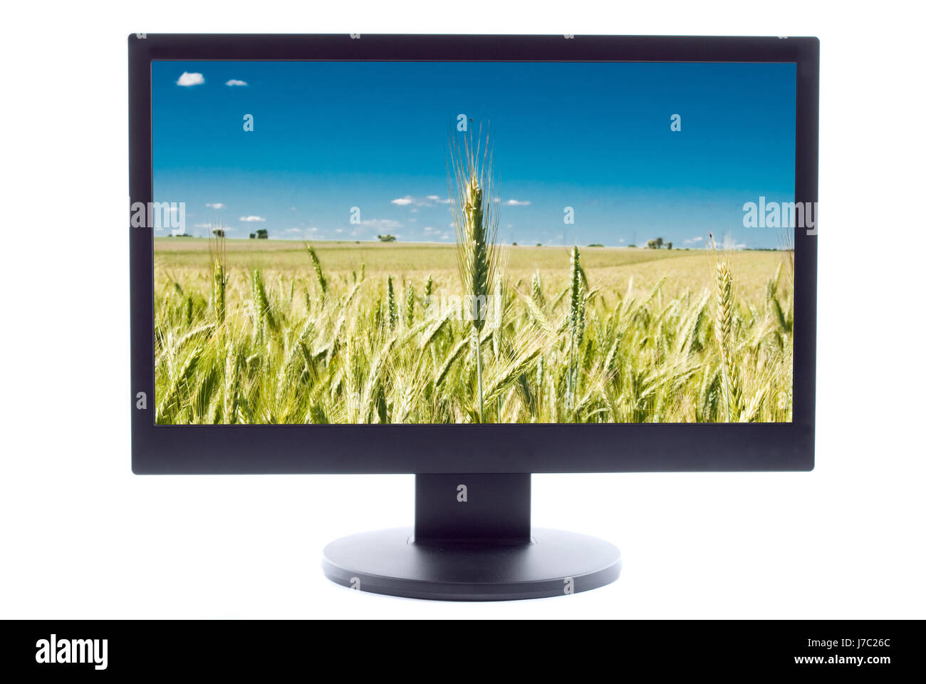 agriculture farming wheat screen growth television tv televisions ...