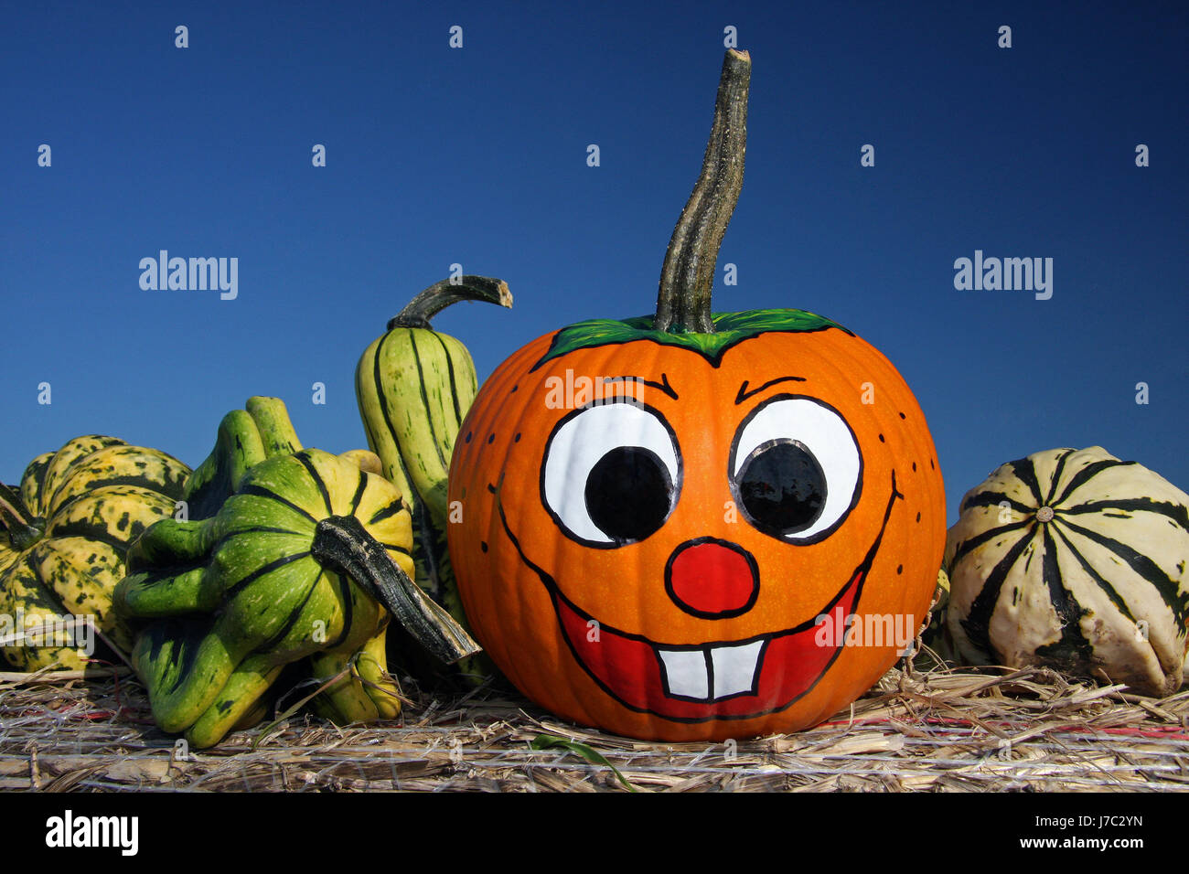 face pumpkin laugh laughs laughing twit giggle smile smiling laughter ...