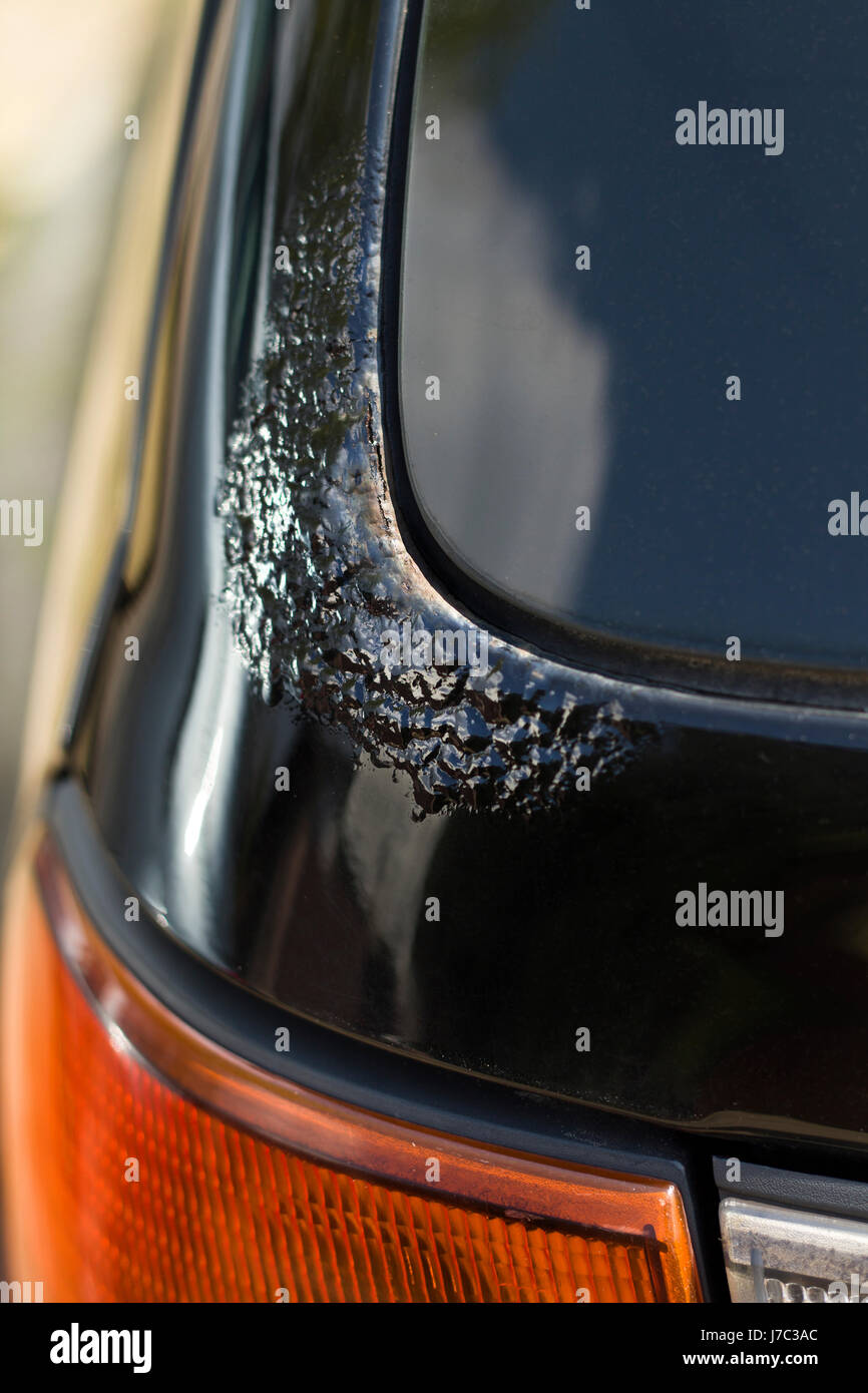 Corrosion on the black car lacquer on the trunk latch Stock Photo - Alamy
